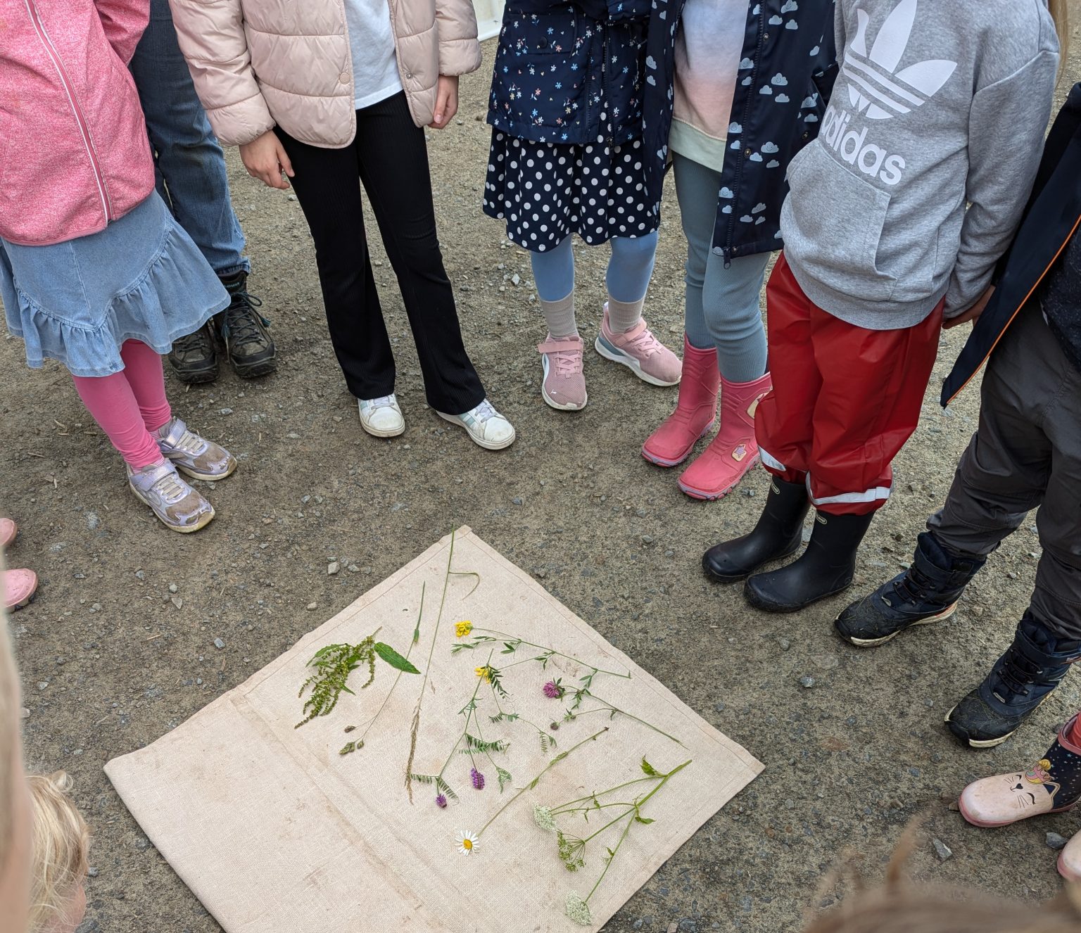 Das Naturmobil besucht Erstklässler: Entdeckungsreise durch die Wunder ...